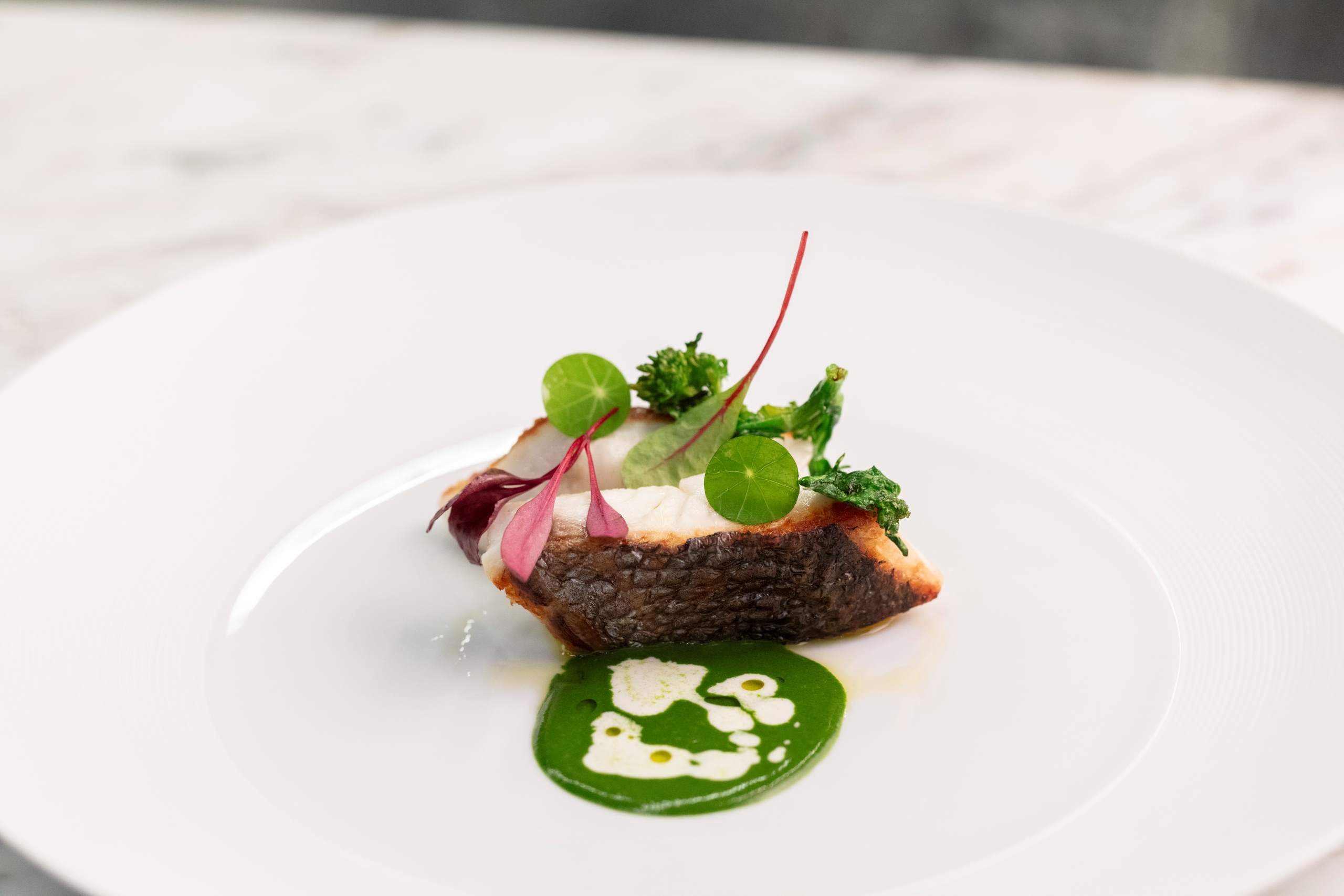 The ROMEO Collection: Luxury experiences in Italy